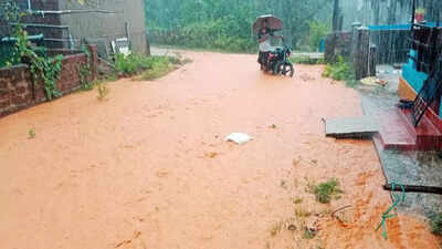 Valpoi waterlogging: Rane tasks experts with analysing situation to ...