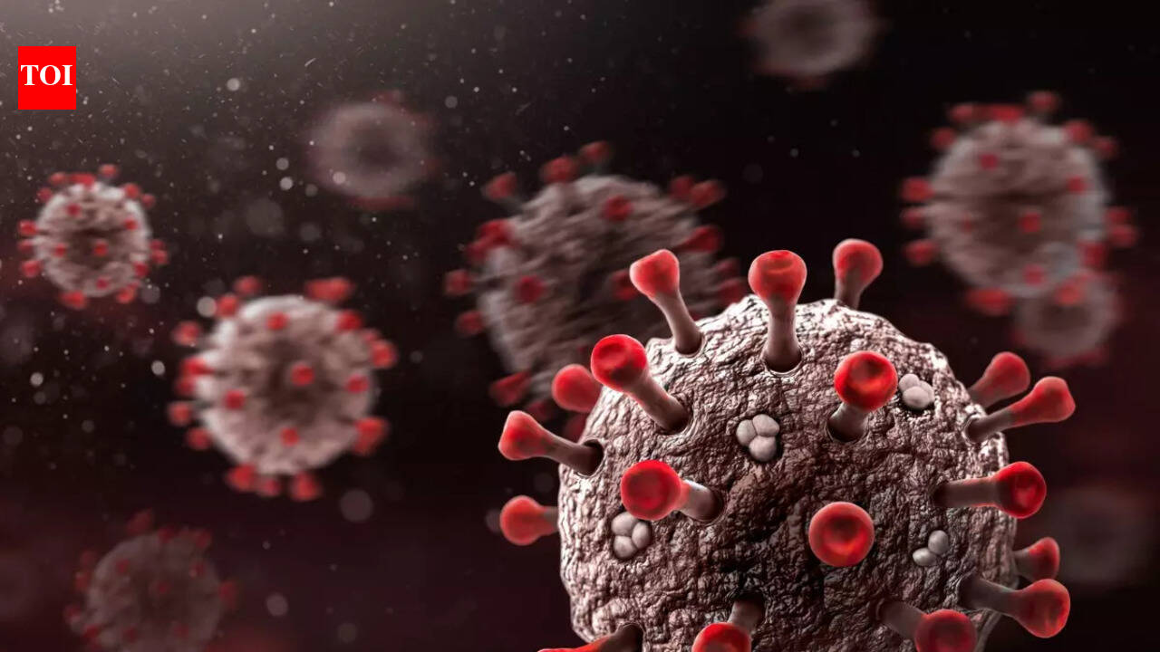 Coronavirus: Boston University claims to have developed a lethal COVID ...