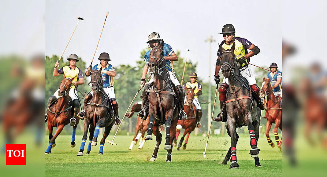 Polo season is back in the city | Events Movie News - Times of India