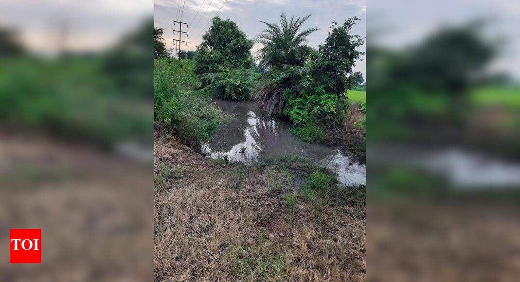 Maharashtra: Standing crops destroyed as coal-water flows into Warada ...
