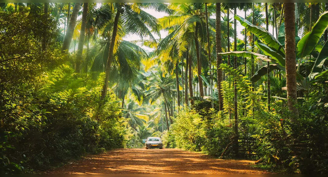Is Goan hinterland state’s best-kept secret? | TimesTravel