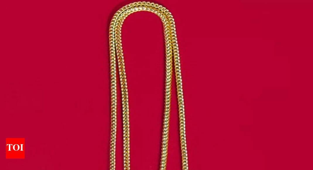 Thief Who Snatched Gold Chain Caught | Vadodara News - Times of India