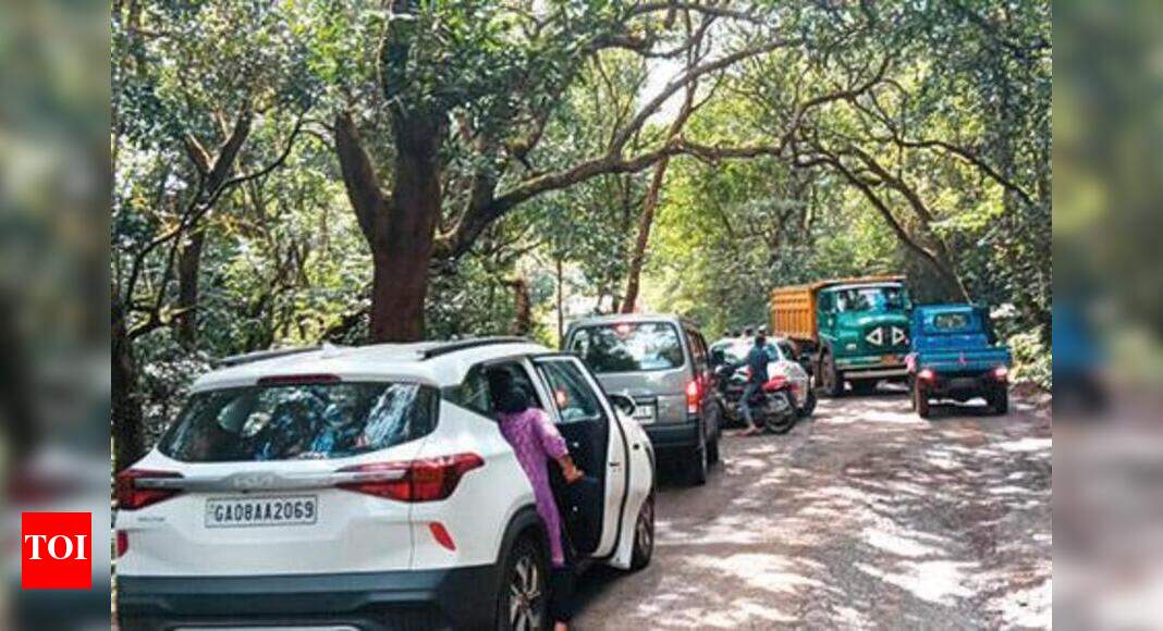 Traffic snarl on Goa-Belagavi route after auto falls into pothole | Goa ...