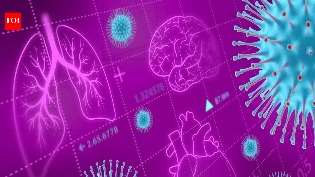 Coronavirus: If you had COVID, several of your organs could be aging 3 ...