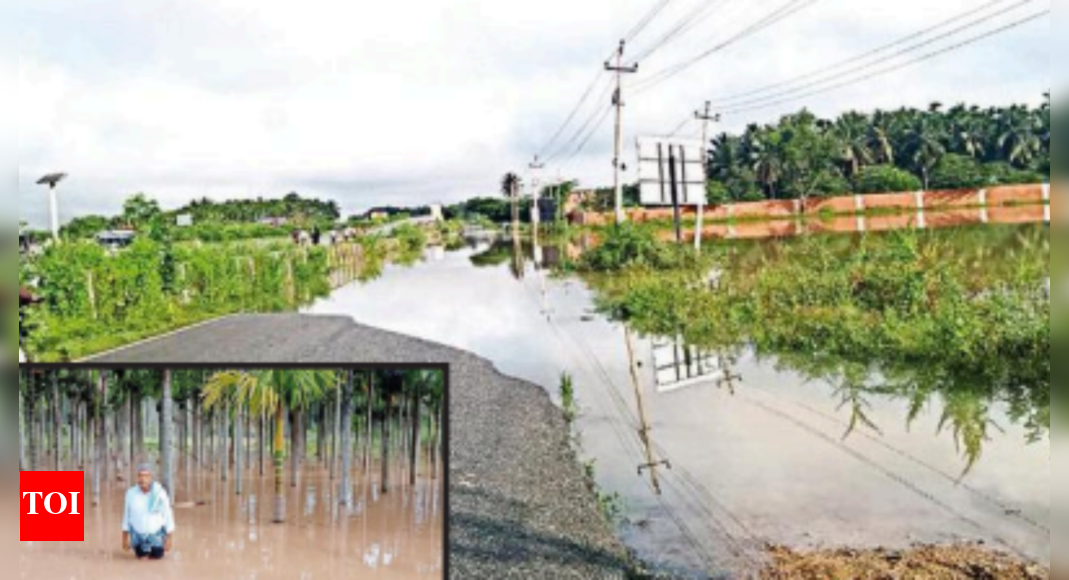 Karnataka: Lake overflows after 40 years, submerges part of NH-48 ...