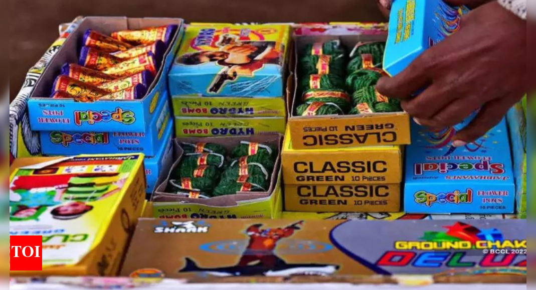 Delhi: In 3 weeks, cops seize 13,000kg firecrackers | Delhi News ...