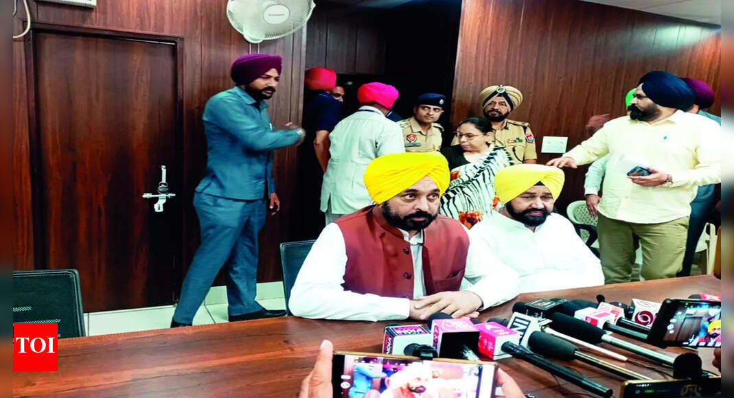 Mann: Mann Appears In Court In Defamation Case | Chandigarh News - Times of India
