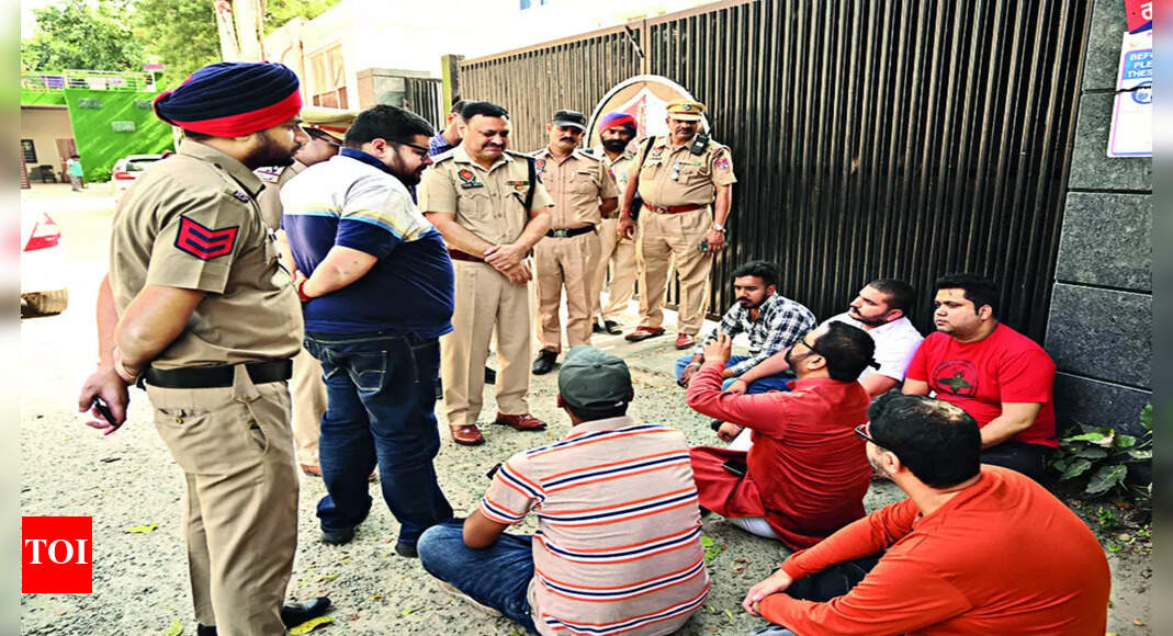 Accidental Eye Injury To 6-yr-old Triggers Protest | Ludhiana News ...