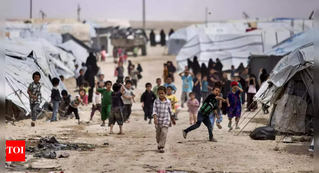 Syria: A dozen bodies found in Syria mass grave: State media - Times of ...