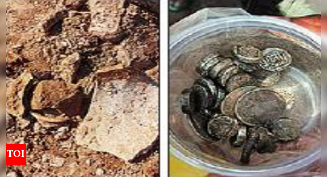 Kuno treasure: 40 silver coins recovered, more still missing in Madhya ...