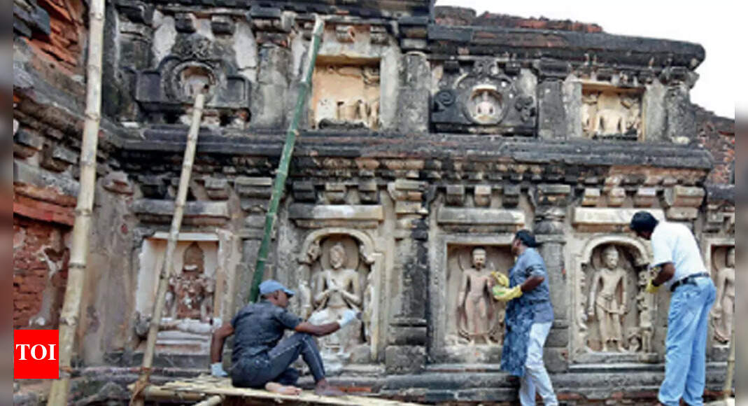 Nalanda: ‘master Plan To Protect Nu Ruins Almost Ready’ | Patna News ...