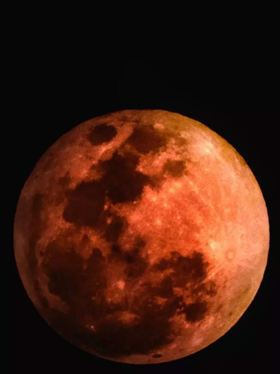 Here is how Solar Eclipse will affect each zodiac sign | Times of India