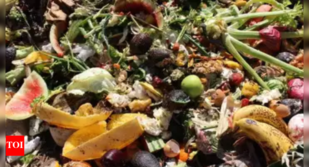 Delhi: Why food waste recycling project is making a buzz | Delhi News ...