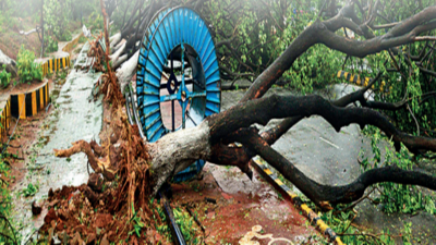 10 cyclones hit Odisha in more than two centuries, 9 since 1999: Study ...
