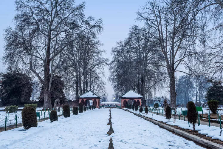 Kashmir in Winter: Most beautiful photos from a winter in Kashmir that ...