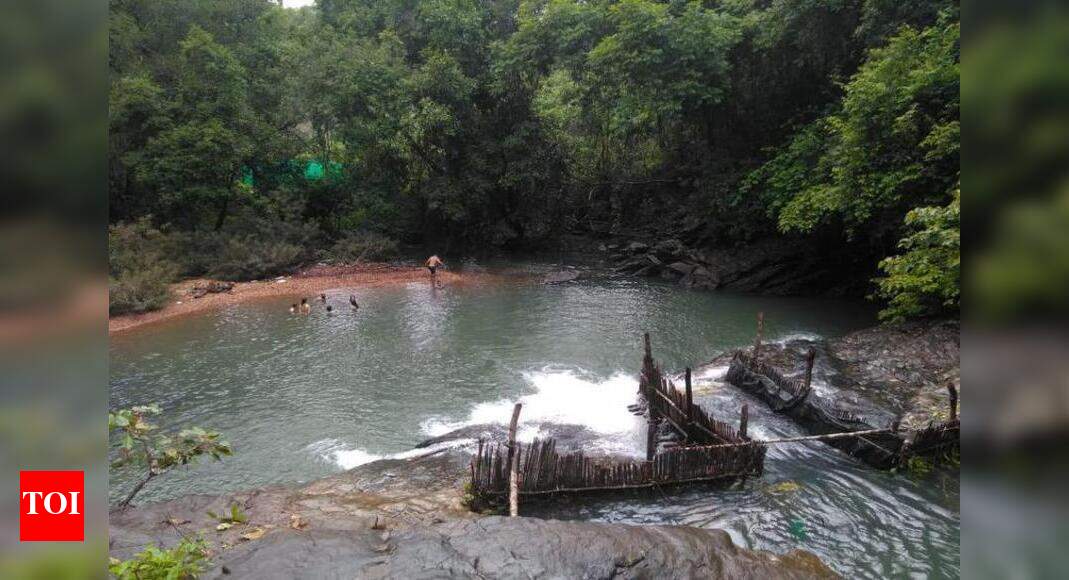 Experts bank on informed visitors to make hinterland tourism a success ...