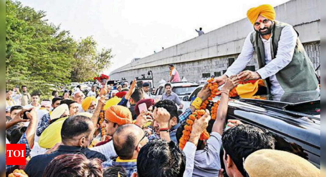 Haryana: Adampur will lay foundation of change in Haryana: Bhagwant Mann | Chandigarh News ...
