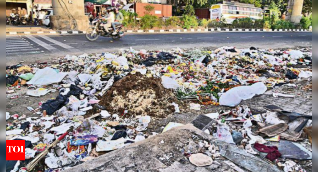 Garbage back with a bang on Jaipur streets after Diwali | Jaipur News ...