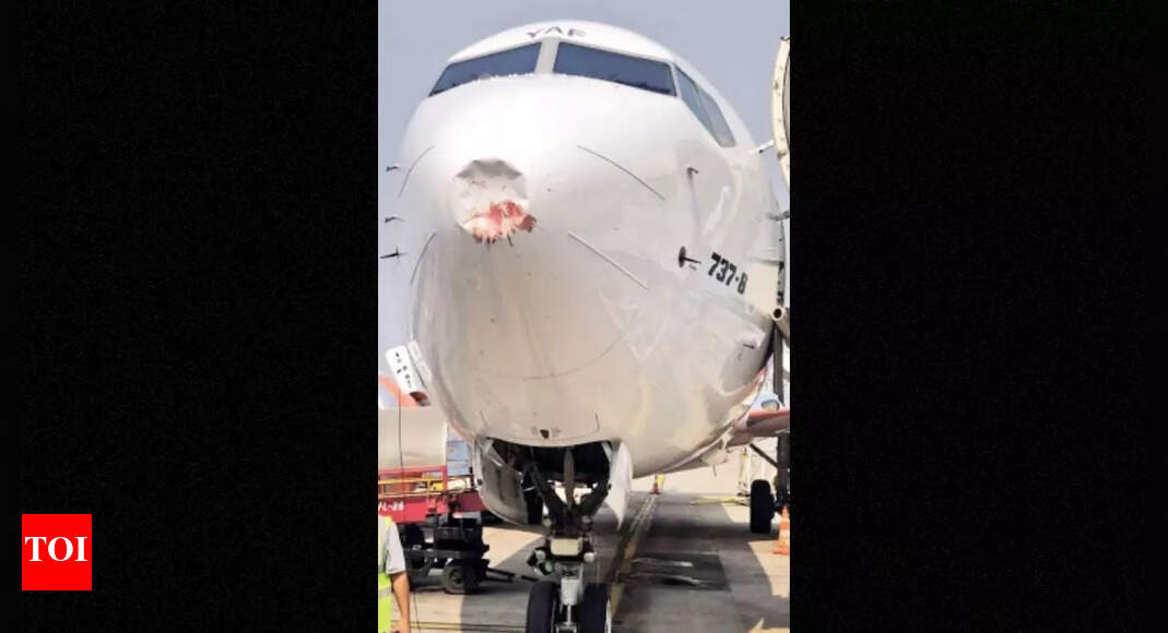 Delhi-bound Akasa flight suffers bird-hit, lands safely | Delhi News ...