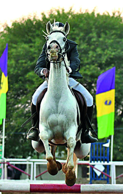 Bhopal: National Equestrian Championship In Bhopal From Dec 12 | Bhopal ...