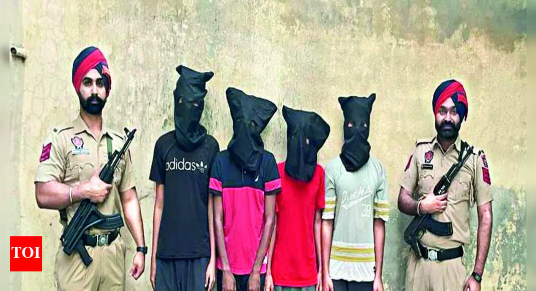 Gheraoed By Cops, 4 Sharpshooters Of Bambiha Gang Surrender ...