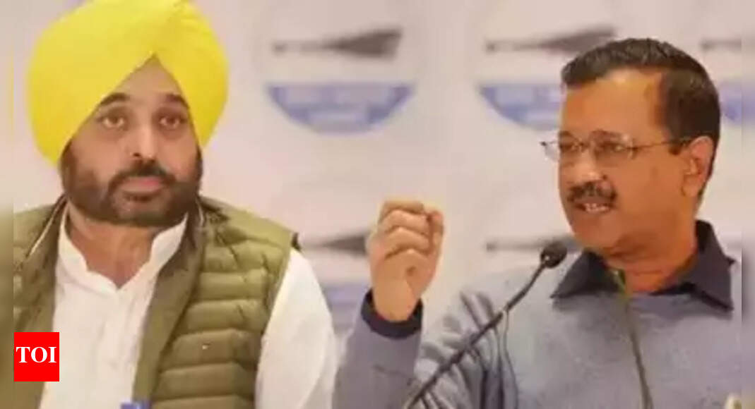 Arvind Kejriwal, Bhagwant Mann shown black flags in Gujarat's Navsari | Gujarat Election News ...