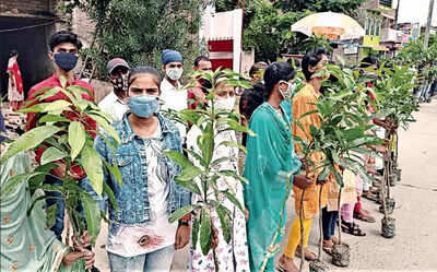 Pay 18 saplings to join this Bihar coaching institute | Patna News ...