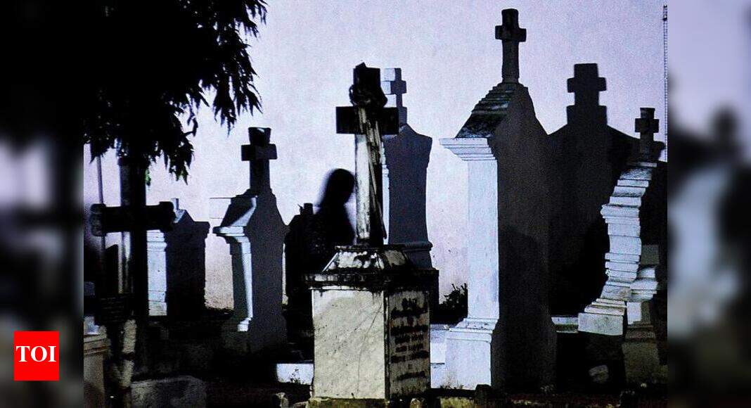 RISING FROM THE ‘DEAD’ | Goa News - Times of India