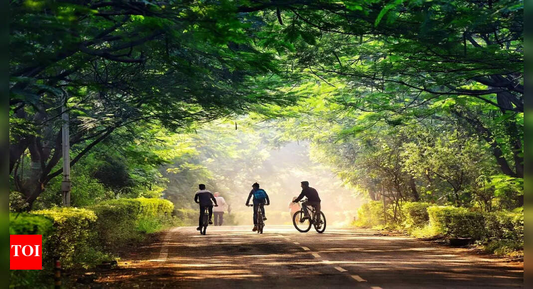 Pune's minimum temperature drops to season's lowest of 13.3°C | Pune News - Times of India