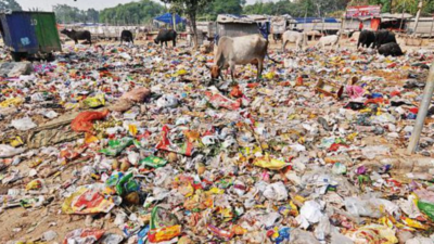 Gurugram: Strike called off, sanitation workers will be back today ...