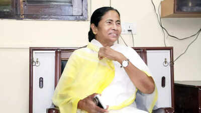 Democratic power is being seized by one section: Mamata Banerjee | India News - Times of India