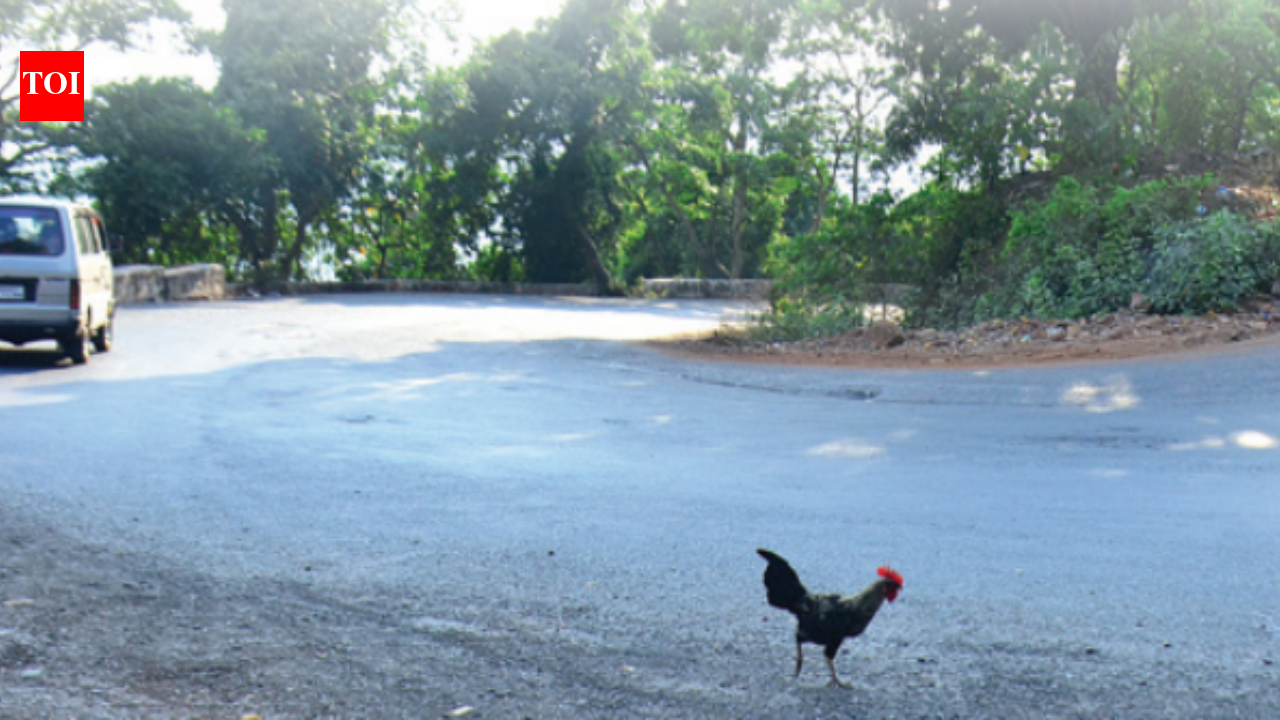 Goa has fifth best rural roads in country, 3 times the national average ...