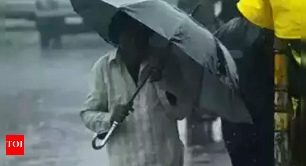 Andhra Pradesh rains: Nellore, Tirupati district administrations on ...