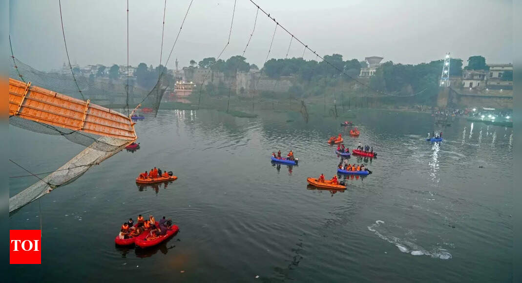 'Mischievous kids were shaking ropes of bridge before it collpased ...