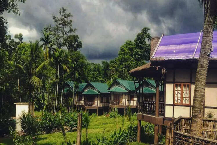 Get the best of luxury and nature experiences in these wildlife resorts ...