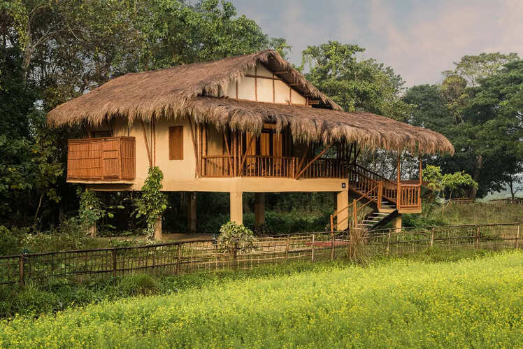Get the best of luxury and nature experiences in these wildlife resorts ...