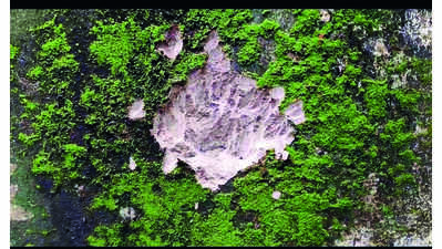 Five-member Gang Fails To Break Into Bank, Leaves Guard Bleeding ...