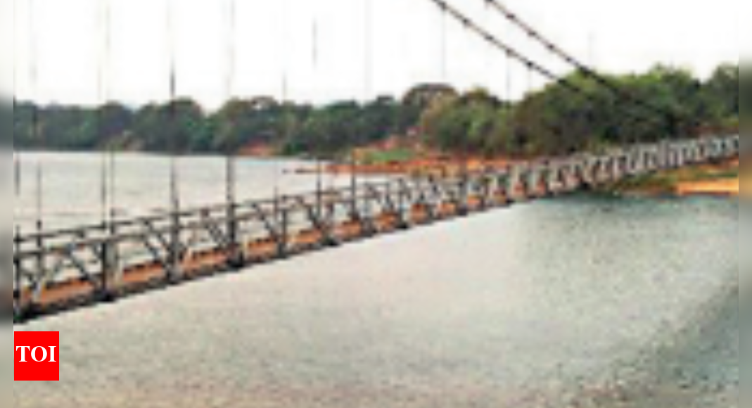 Gujarat tragedy prompts Odisha to shut down Dhabaleswar bridge ...