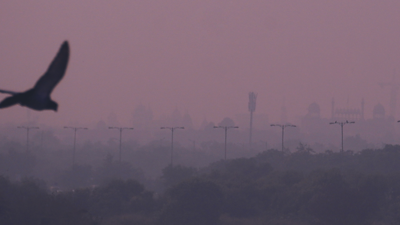 Pollution Control Board: Rpcb For Shutting Three Industrial Units Of ...