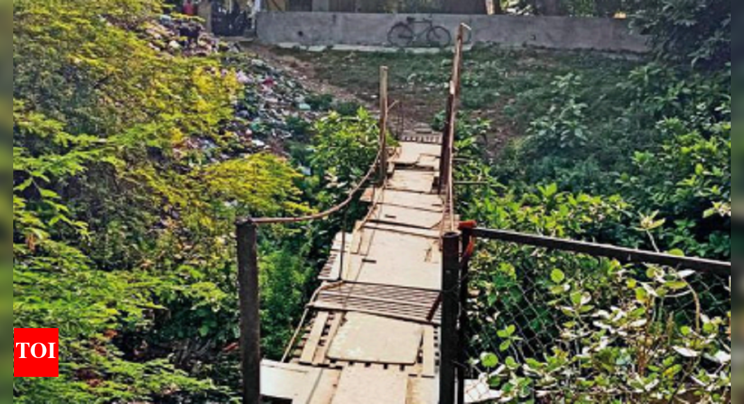 Kutch: Gujarat bridge tragedy: Govt shuts down two bridges in Kutch ...