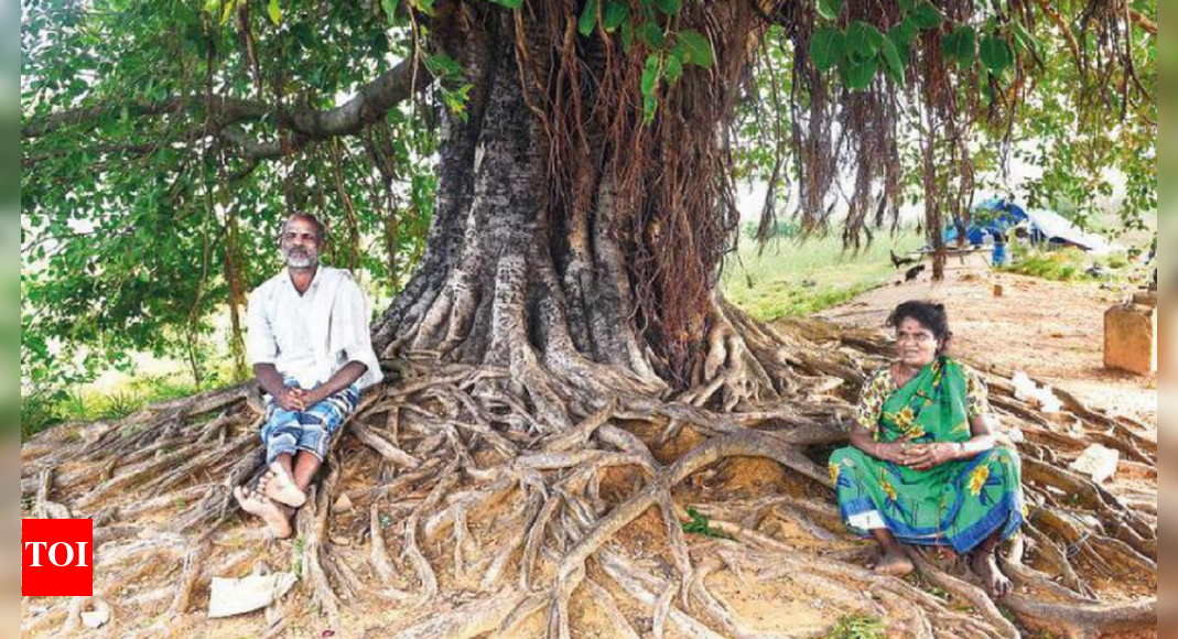 Tamil Nadu: Tamil Nadu: '2nd airport at Parandur need of the hour ...
