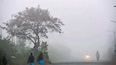 Pune: Pollution levels rising, AQI 'very poor' in Shivajinagar | Pune News - Times of India