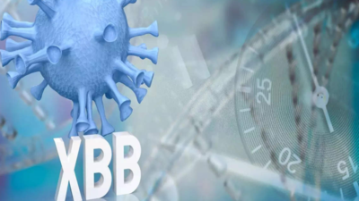 A 1st for Mumbai: XBB & XBB.1 variants of Covid found | Mumbai News ...