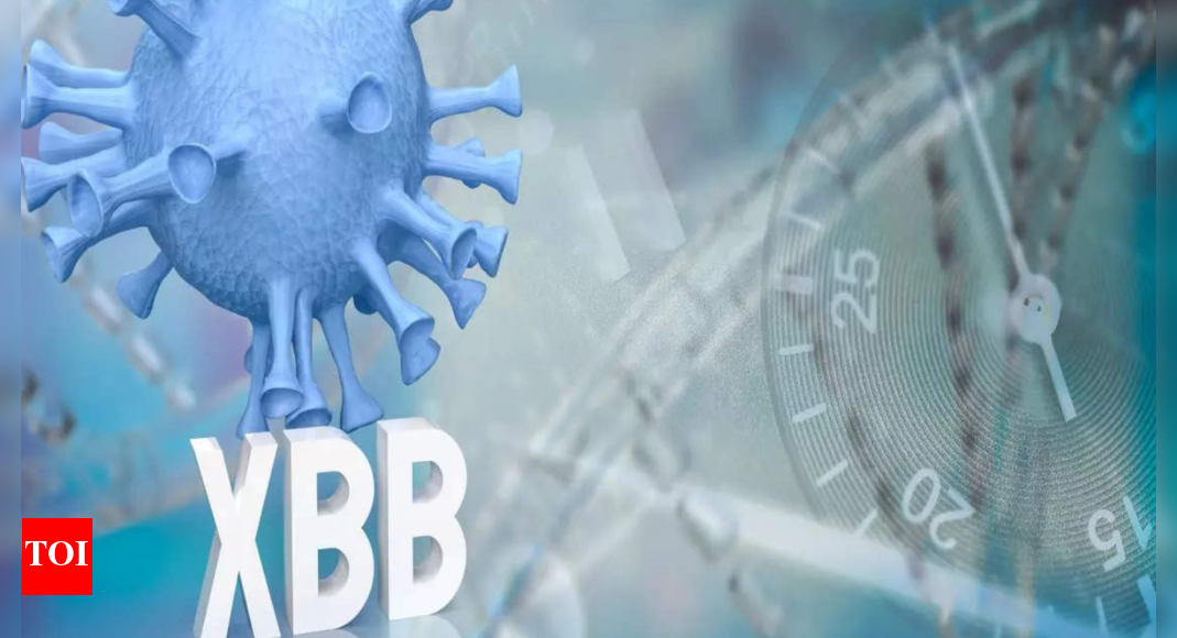 A 1st for Mumbai: XBB & XBB.1 variants of Covid found | Mumbai News - Times of India
