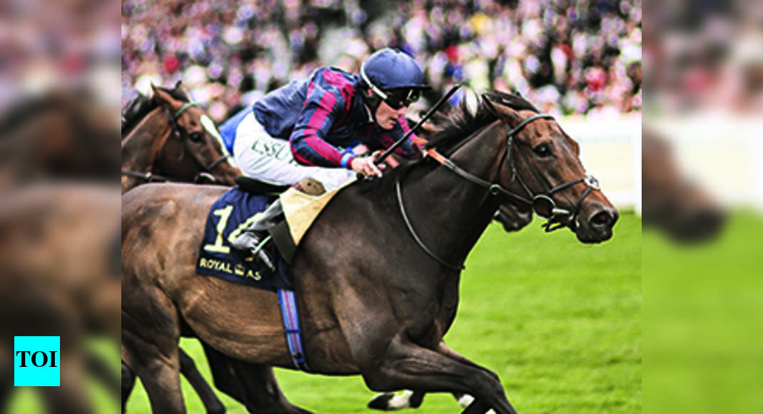 True Marshal, Miss Solitaire Excel | Hyderabad News - Times of India