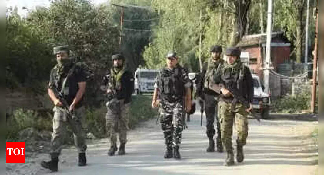 2 migrant labourers hurt in Anantnag attack | Srinagar News - Times of ...