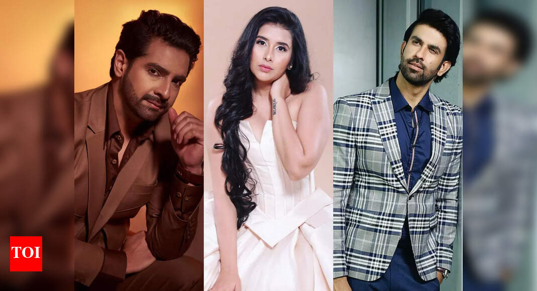 Karan Mehra LASHES OUT at Rajeev Sen for saying 'he and Charu Asopa are romantically involved ...