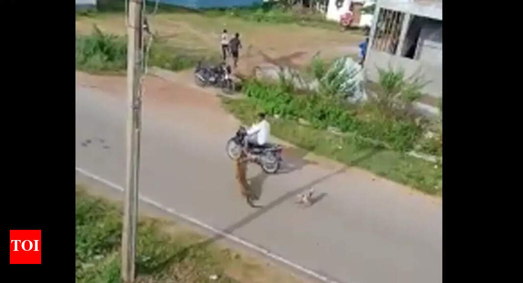 Caught on camera: Leopard attacks forest dept staffer, biker in ...
