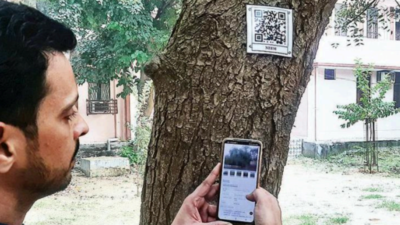 Uttar Pradesh: QR codes installed on 351 trees of 70 plant species in ...