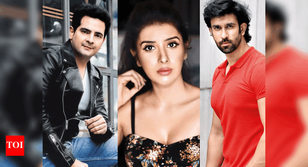 Karan Mehra says he will take strong action against Rajeev Sen for linking him to Charu Asopa ...